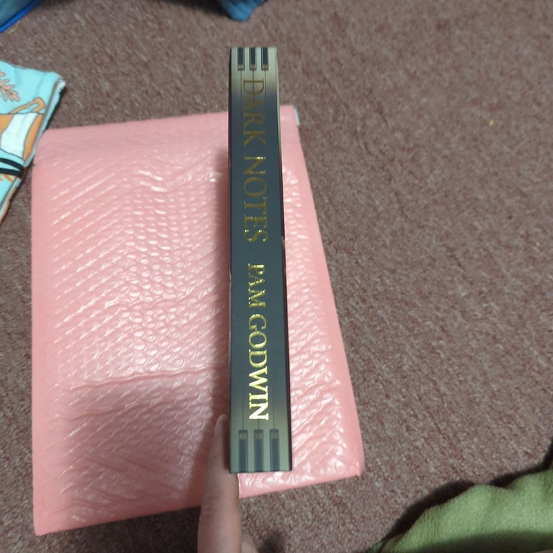 Dark Notes by Pam Godwin, Hardcover | Pangobooks