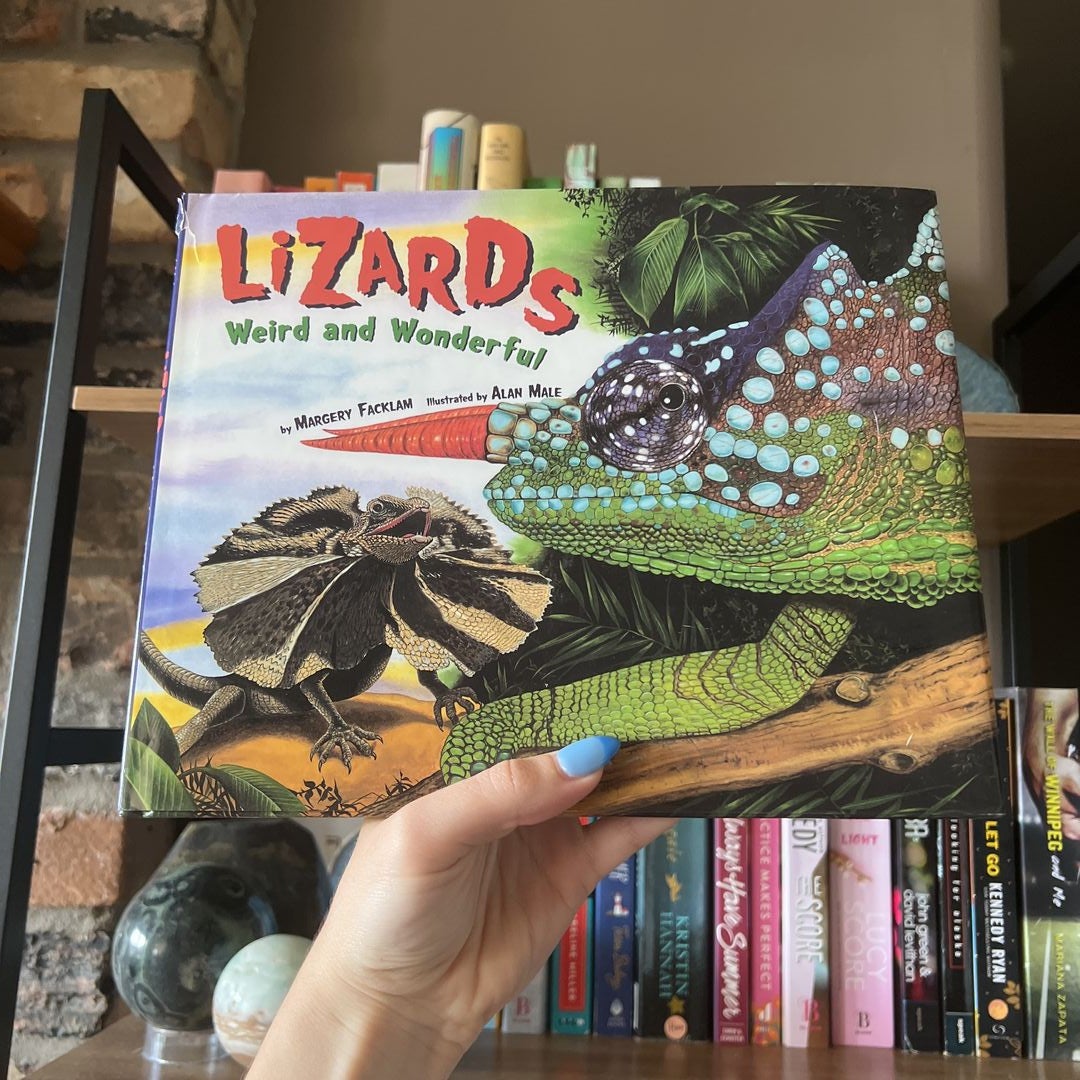 Lizards by Margery Facklam