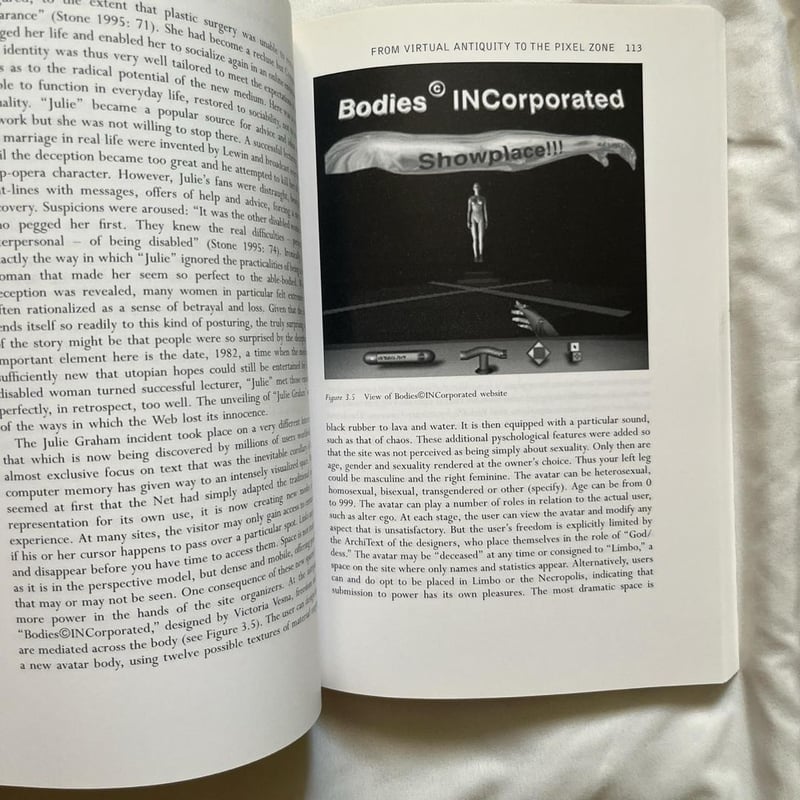 Introduction to Visual Culture by Nicholas Mirzoeff