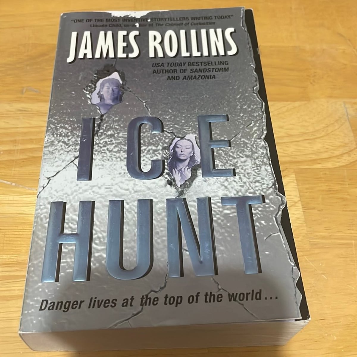 Ice Hunt by James Rollins