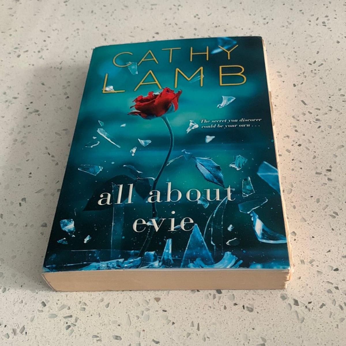 All about Evie by Cathy Lamb, Paperback | Pangobooks