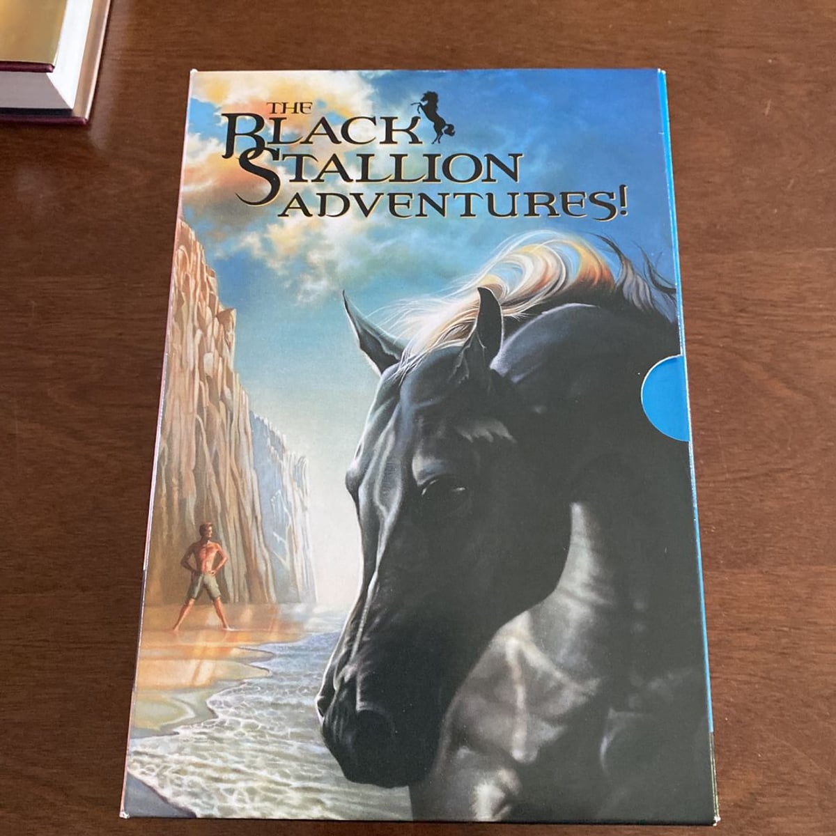 The Black Stallion Adventures by Walter Farley