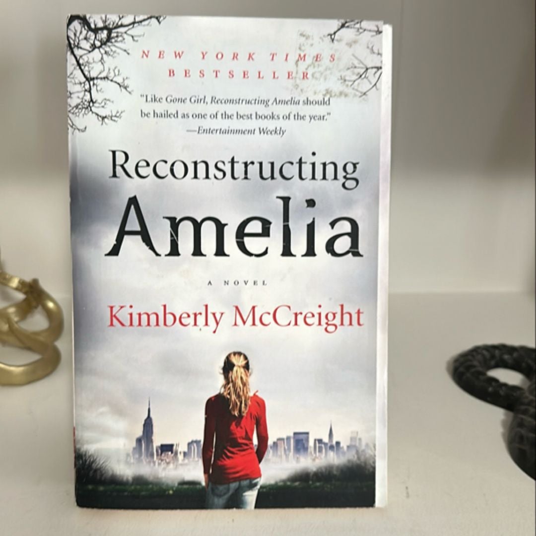 Reconstructing Amelia by Kimberly McCreight