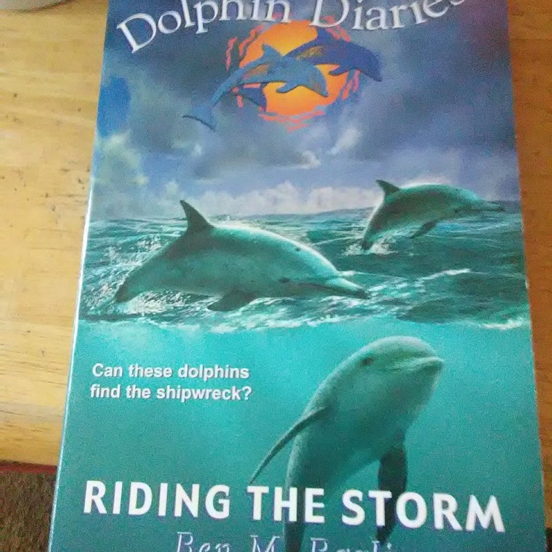 Riding the Storm by Ben M. Baglio