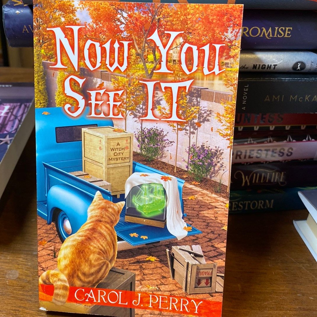 Now You See It by Carol J. Perry