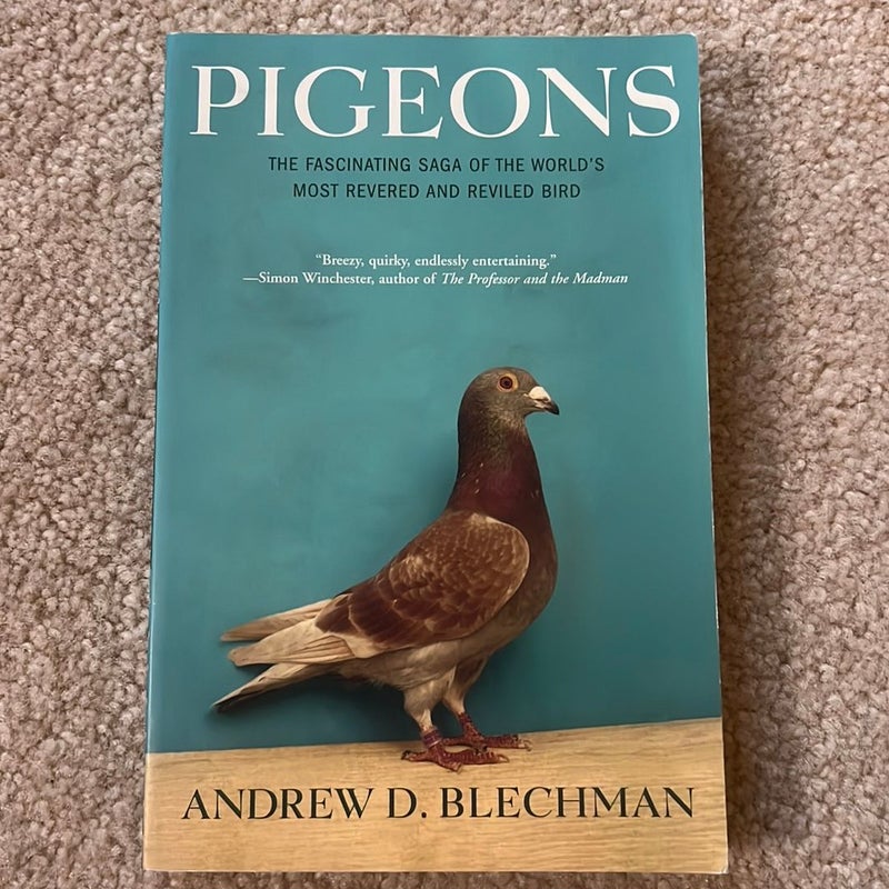 Pigeons by Andrew D. Blechman, Paperback | Pangobooks