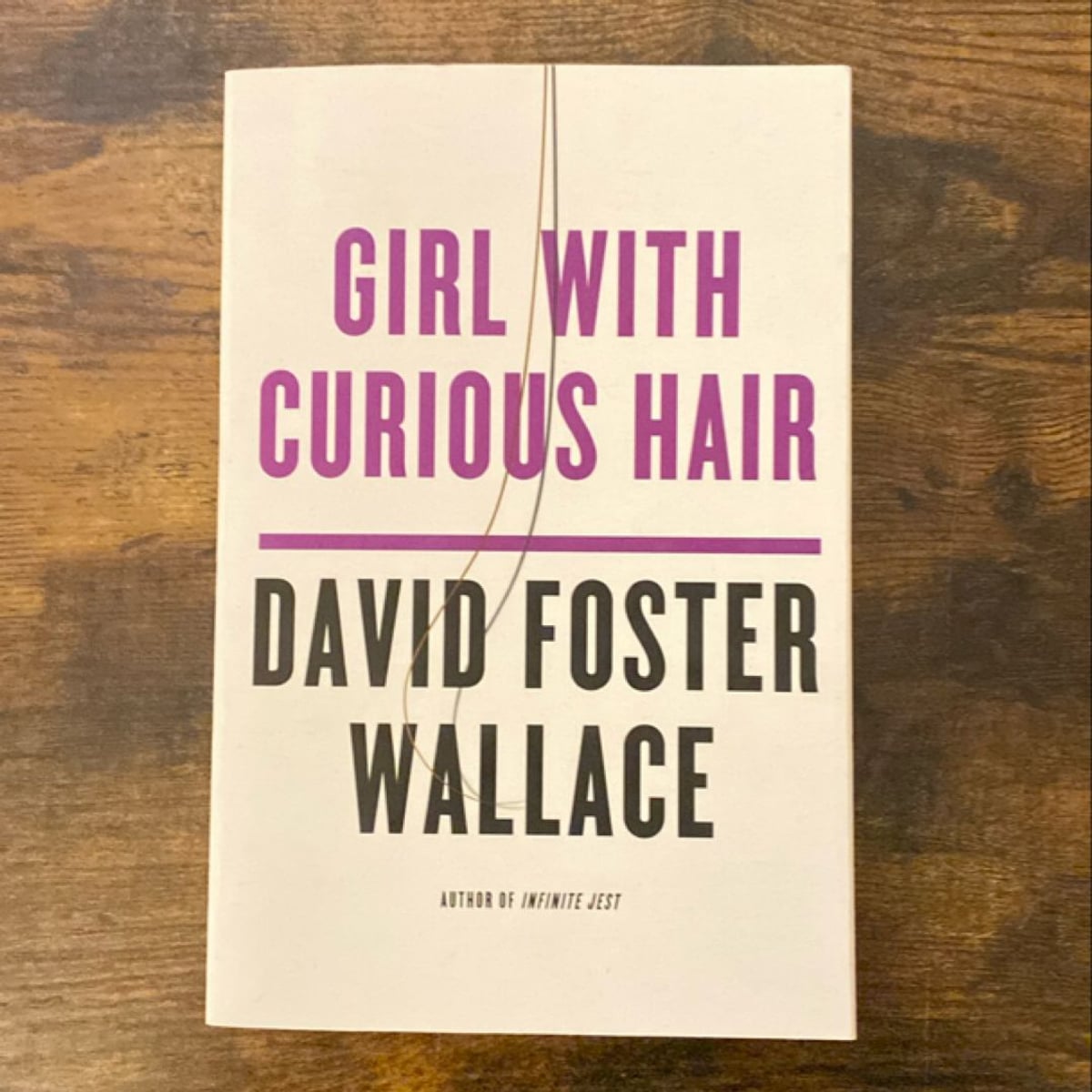 Girl with Curious Hair by David Foster Wallace