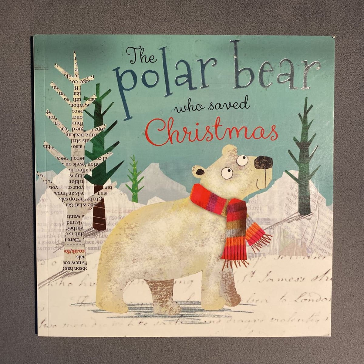 The Polar Bear Who Saved Christmas by Fiona Boon