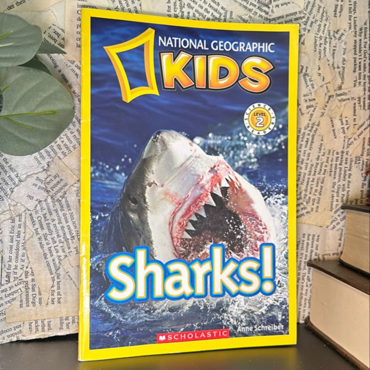 Sharks! by Anne Schreiber, Paperback | Pangobooks