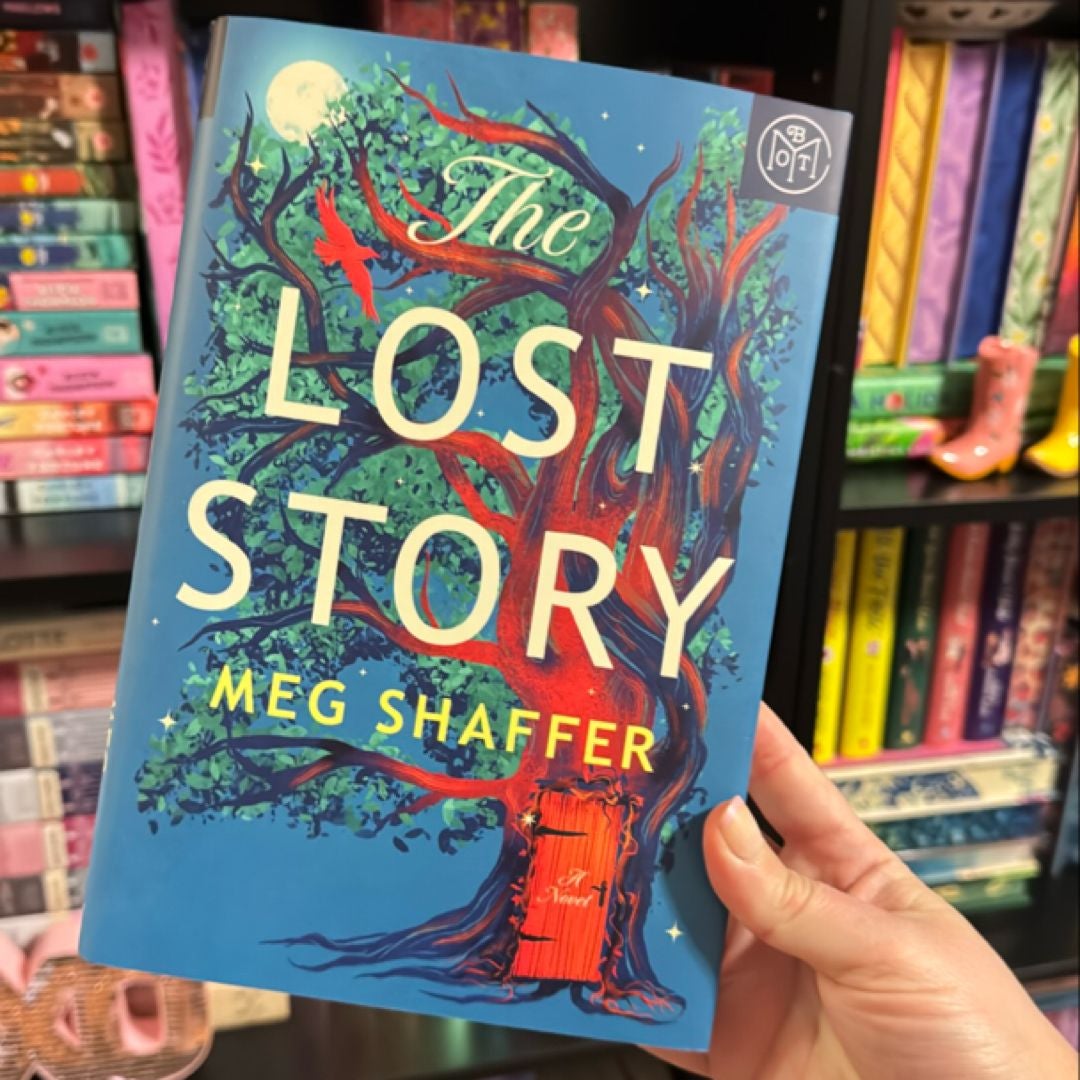 The Lost Story by Meg Shaffer, Hardcover | Pangobooks