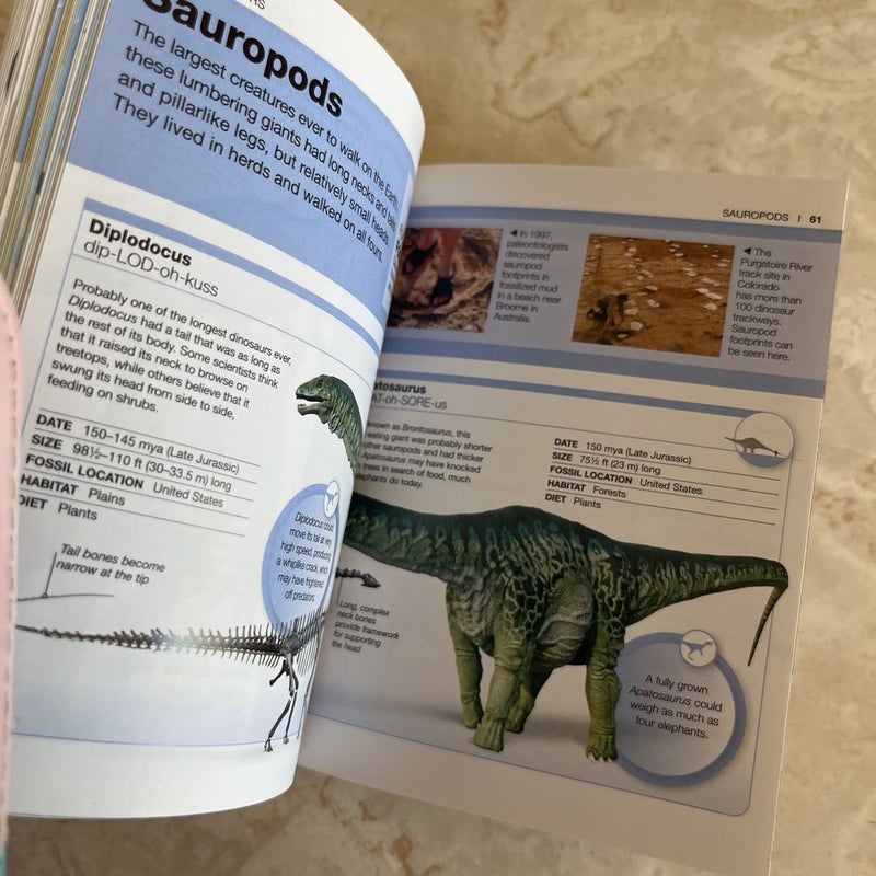 Pocket Genius: Dinosaurs by DK, Paperback | Pango Books