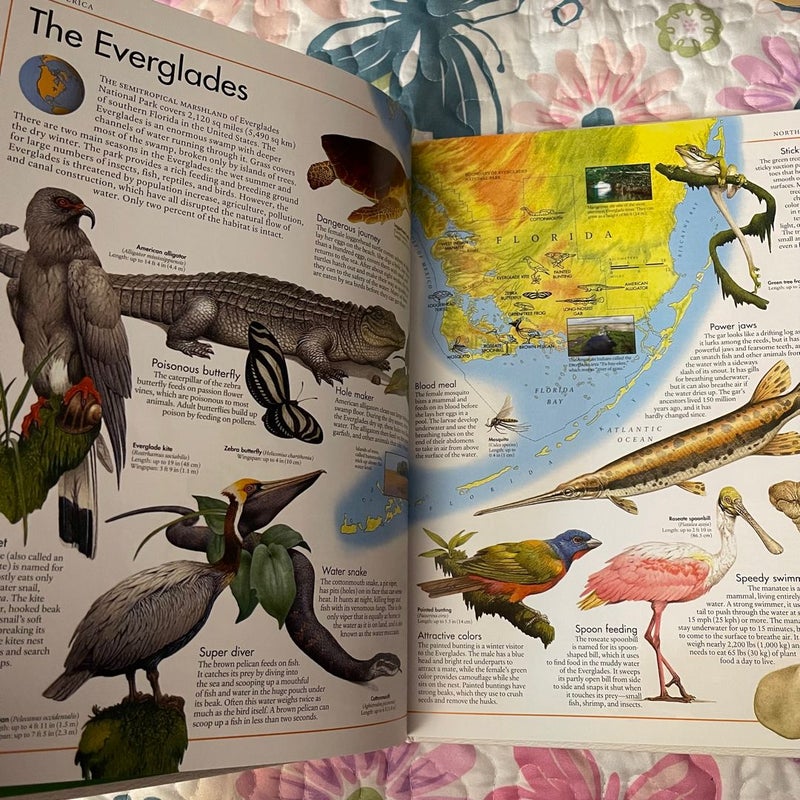 The Animal Atlas by DK