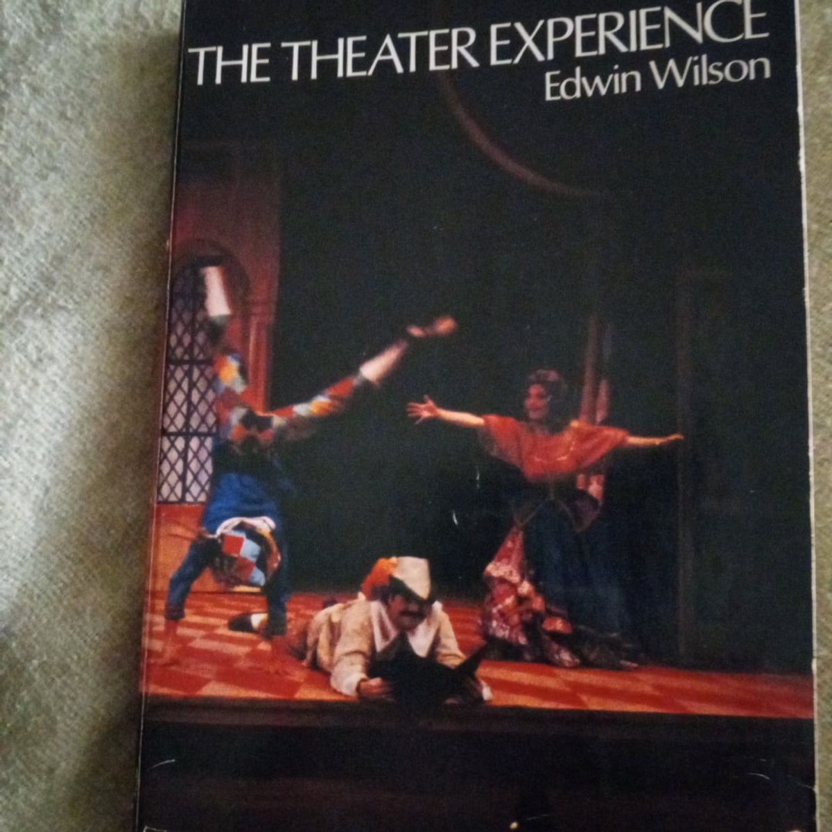 The Theater Experience by Edwin Wilson