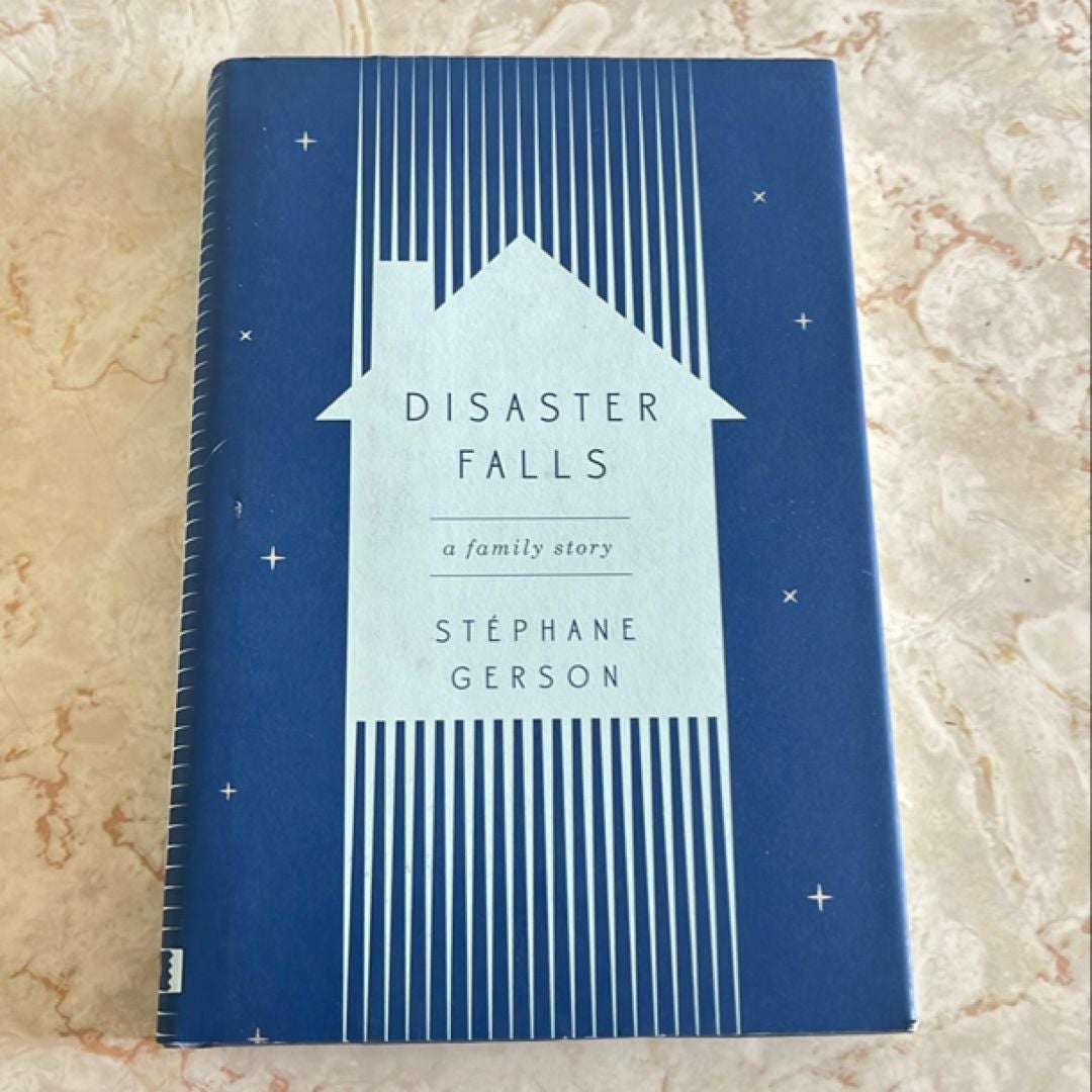 Disaster Falls by Stephane Gerson