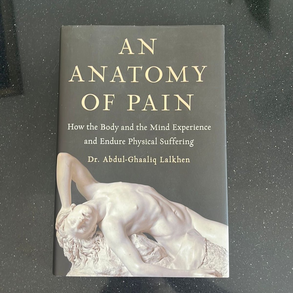 An Anatomy of Pain by Abdul Ghaaliq Lalkhen