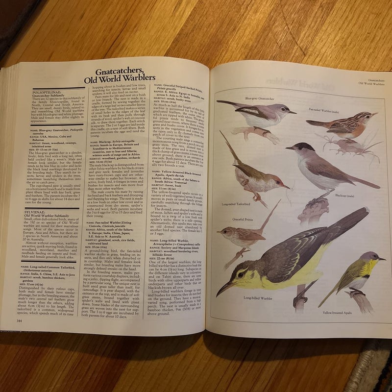 Macmillan Illustrated Animal Encyclopedia by Dr. Philip Whitfield and ...