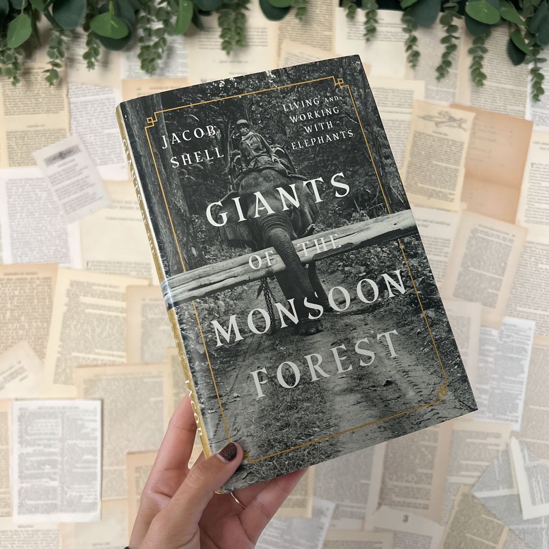 Giants of the Monsoon Forest by Jacob Shell, Hardcover | Pangobooks