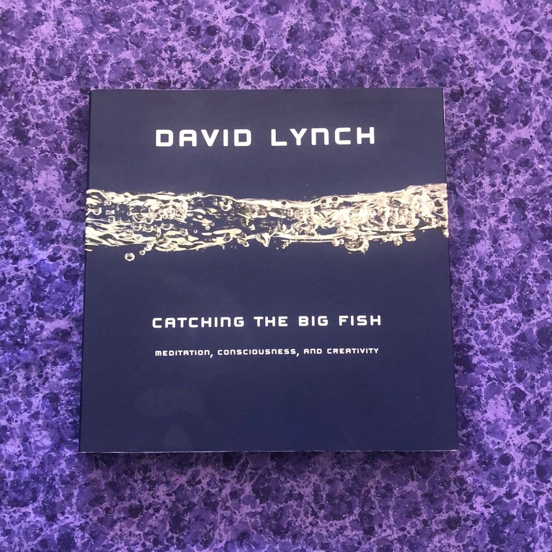 Catching the Big Fish by David Lynch