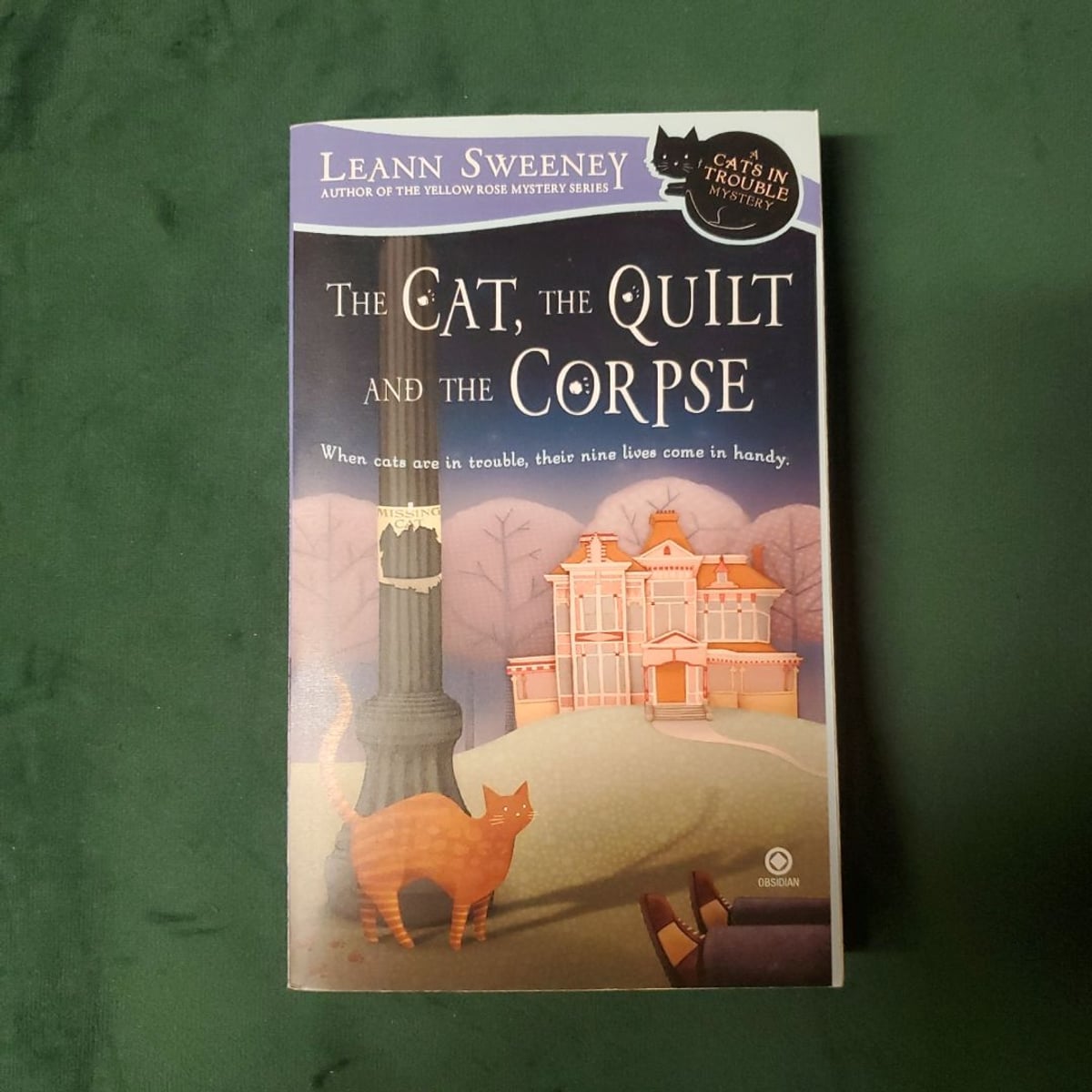 The Cat, the Quilt and the Corpse by Leann Sweeney