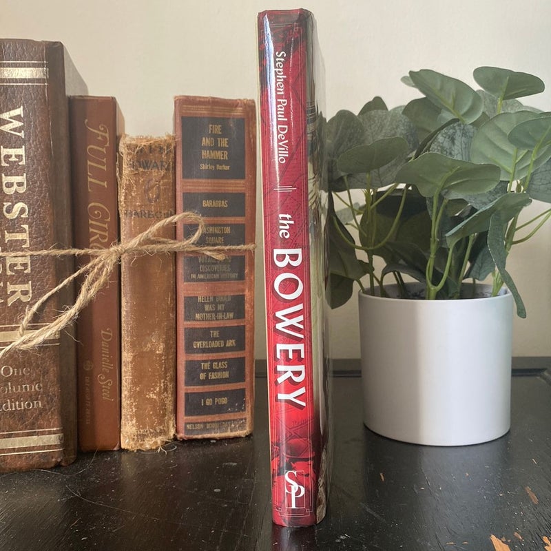 The Bowery by Stephen Paul DeVillo