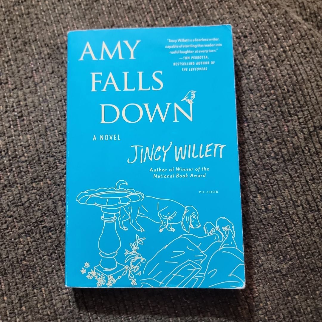 Amy Falls Down by Jincy Willett