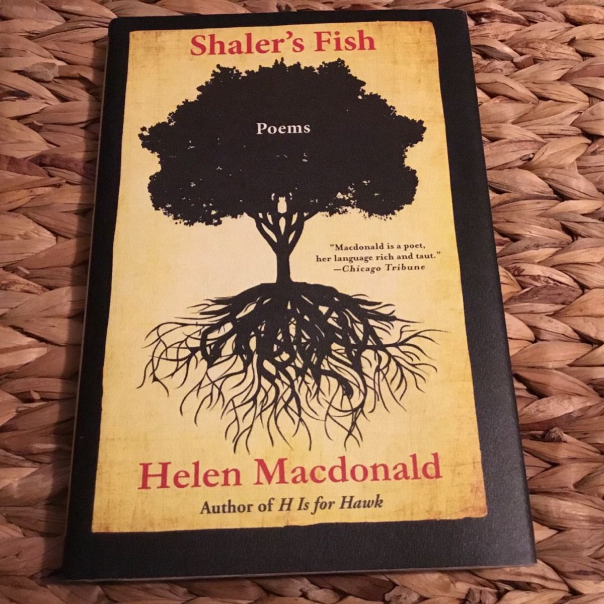 Shaler's Fish by Helen Macdonald