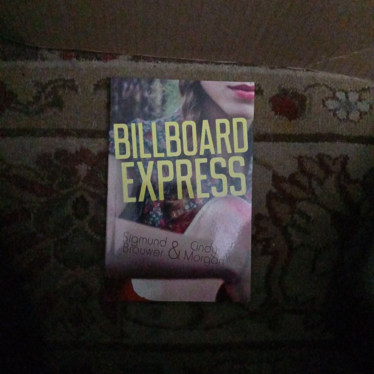 Billboard Express by Sigmund Brouwer, Cindy Morgan