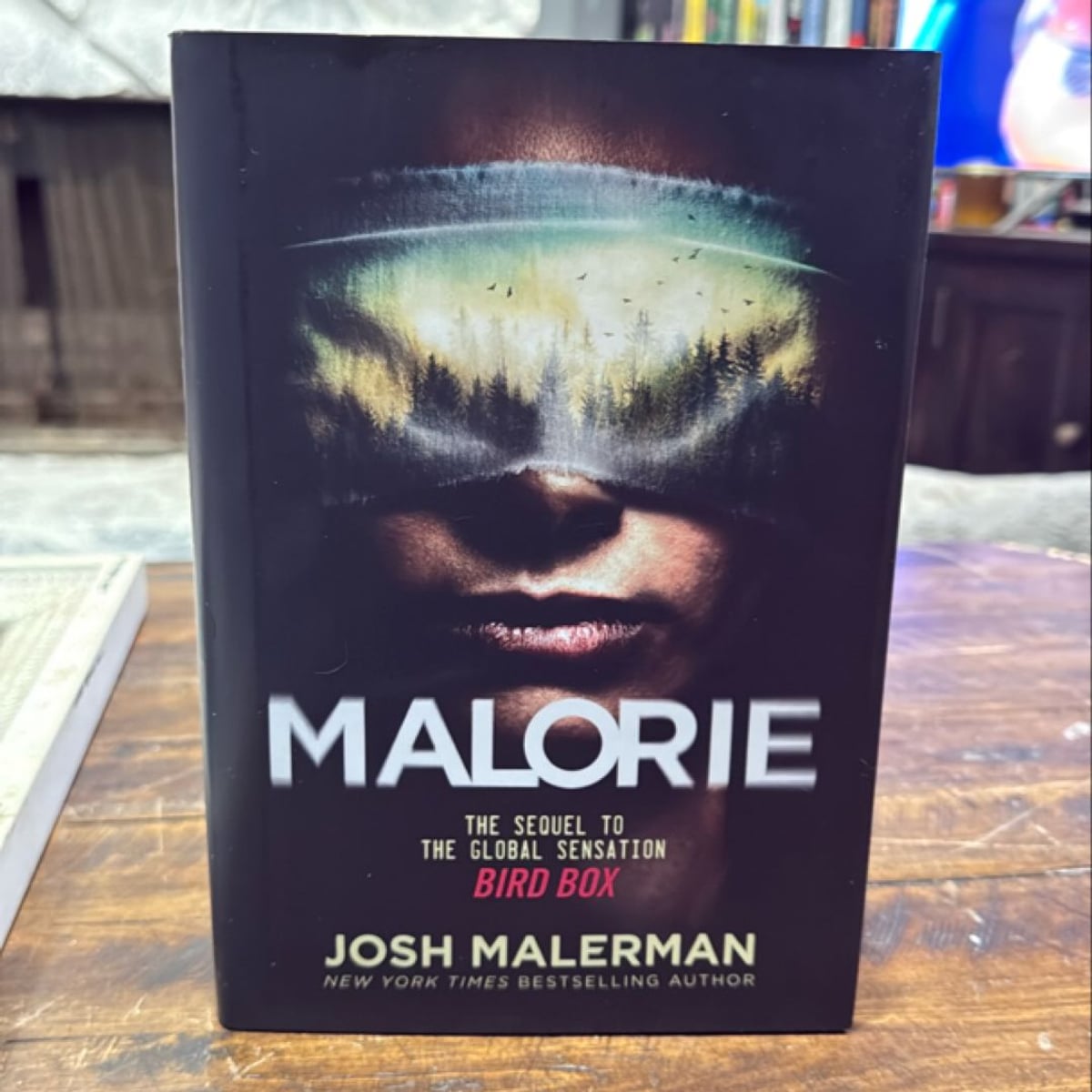 Malorie by Josh Malerman