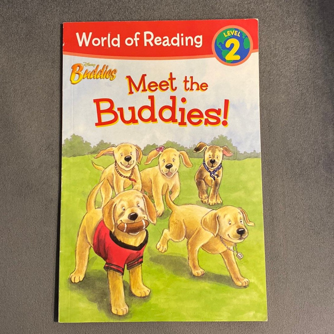 Disney Buddies Meet the Buddies by Catherine Hapka, Paperback | Pangobooks