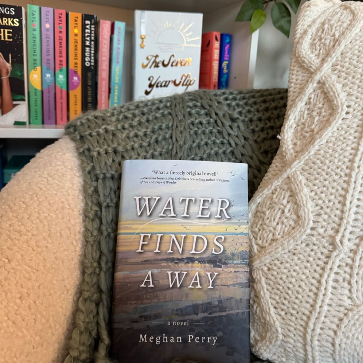 Water Finds a Way by Meghan Perry