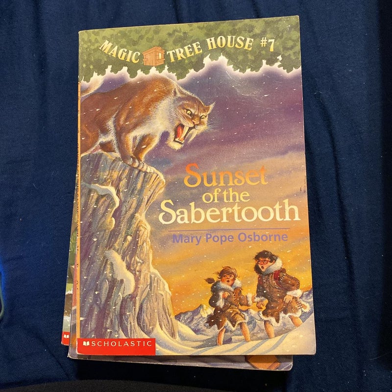 Magic Tree House Books by Mary Pope Osborne, Paperback | Pangobooks