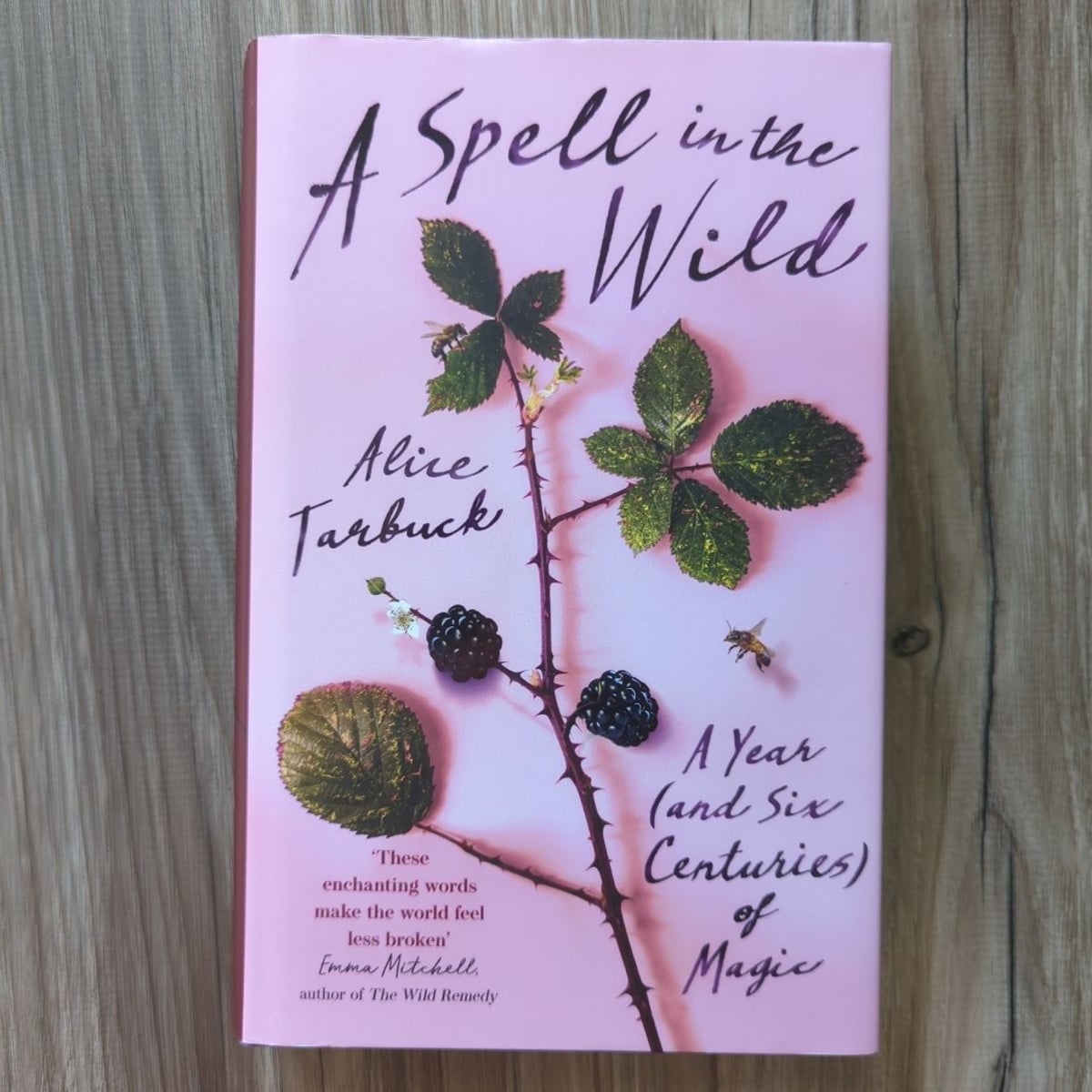 A Spell in the Wild by Alice Tarbuck