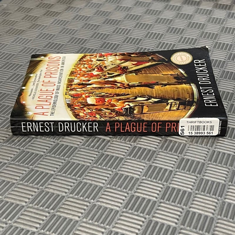 A Plague of Prisons by Ernest Drucker, Paperback | Pangobooks