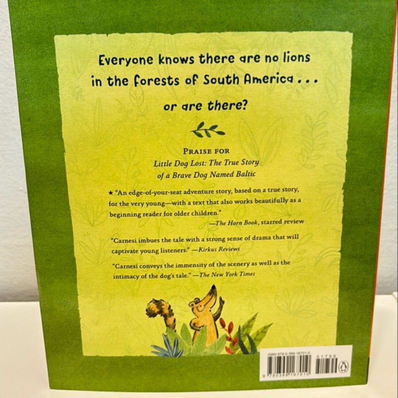 There's a Lion in the Forest! by Mônica Carnesi