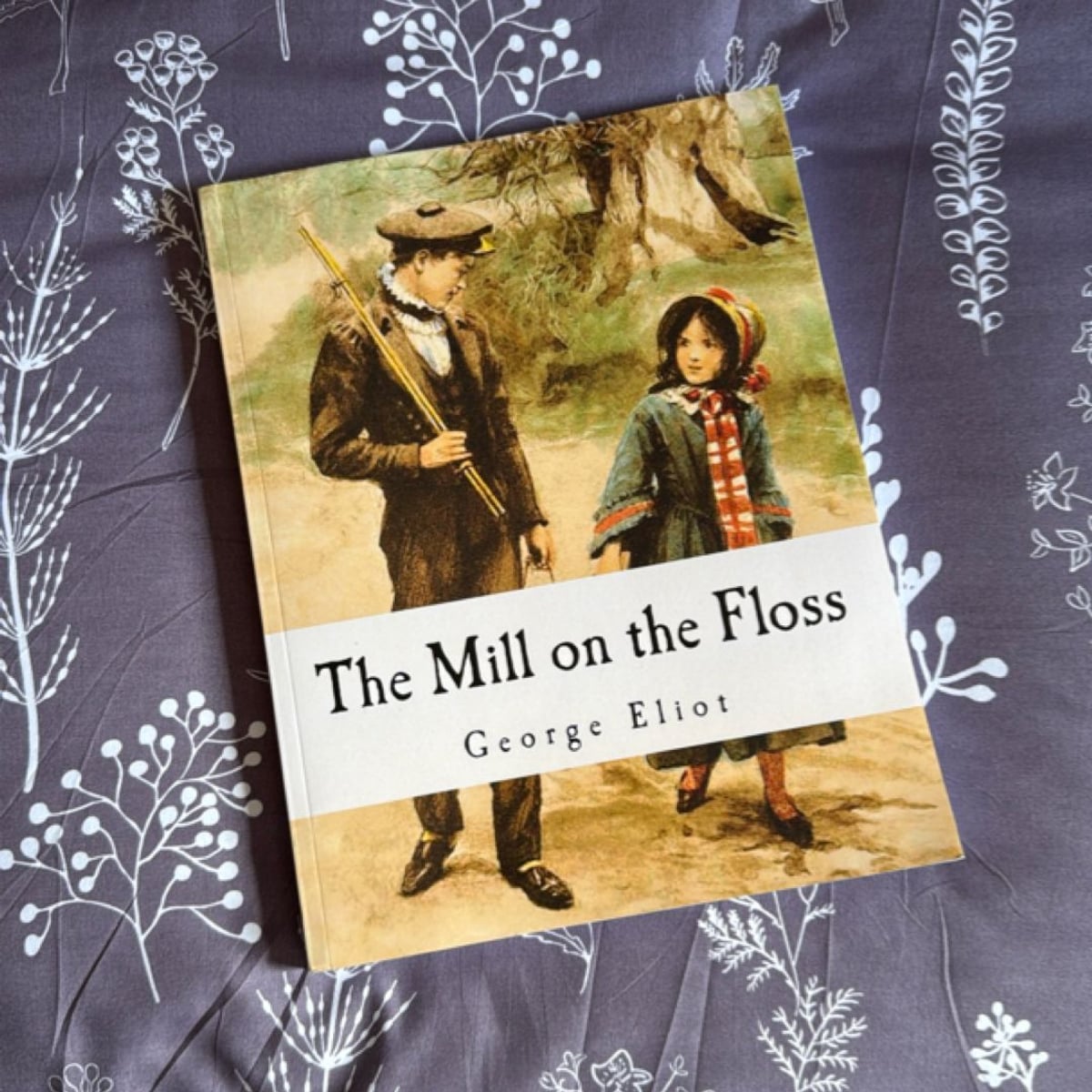 The Mill on the Floss by George Elliott