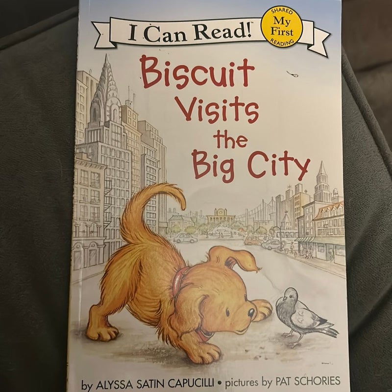 Biscuit Visits the Big City by Alyssa Satin Capucilli