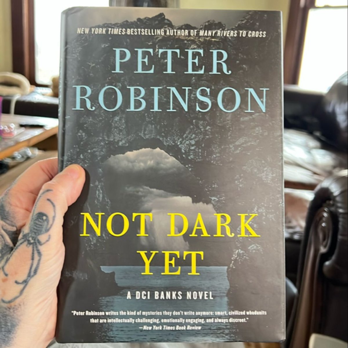 Not Dark Yet by Peter Robinson, Hardcover | Pangobooks