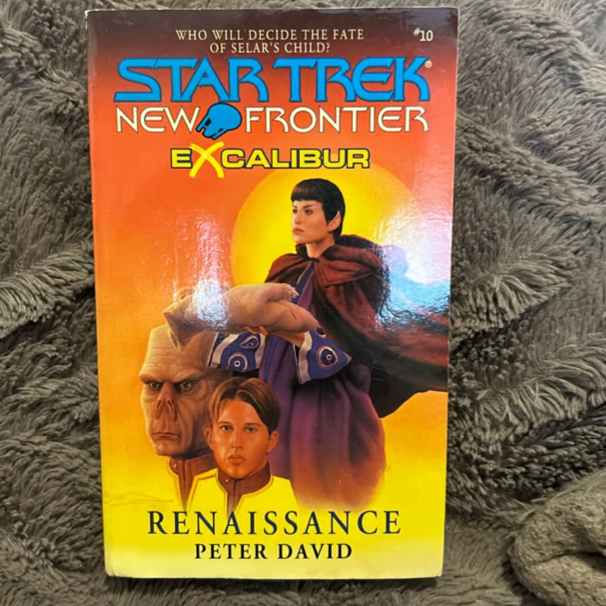 Renaissance by David Peter, Peter David