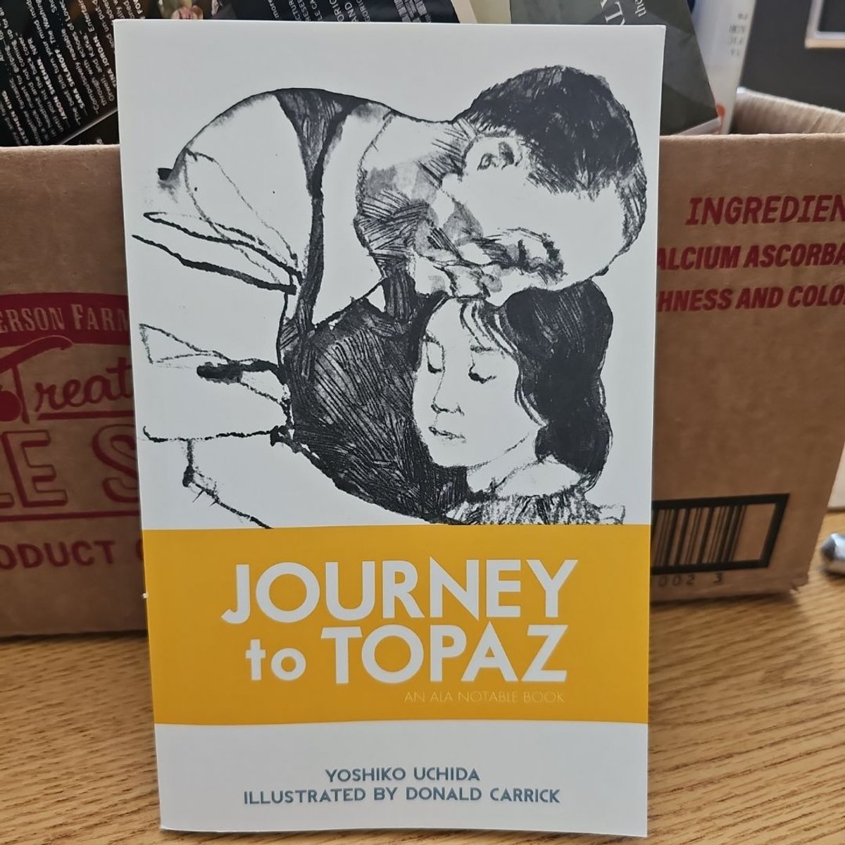 Journey To Topaz By Yoshiko Uchida