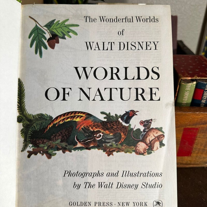 Walt Disney World Of Nature 1965 Vintage Hard Cover Book by See ...
