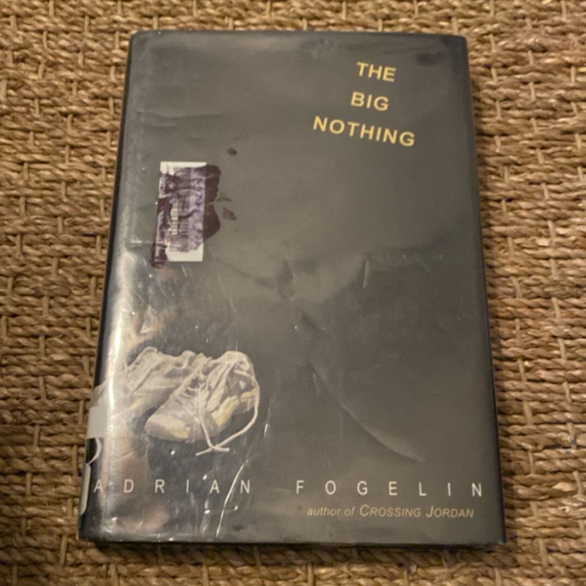 The Big Nothing by Adrian Fogelin