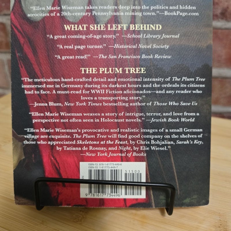 Life She Was Given The by Ellen Marie Wiseman