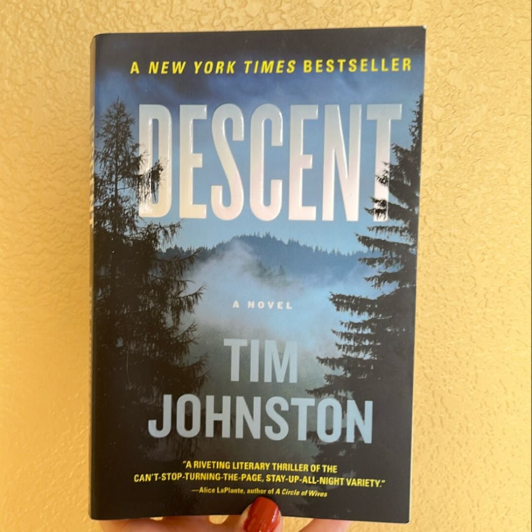 Descent by Tim Johnston, Paperback | Pangobooks