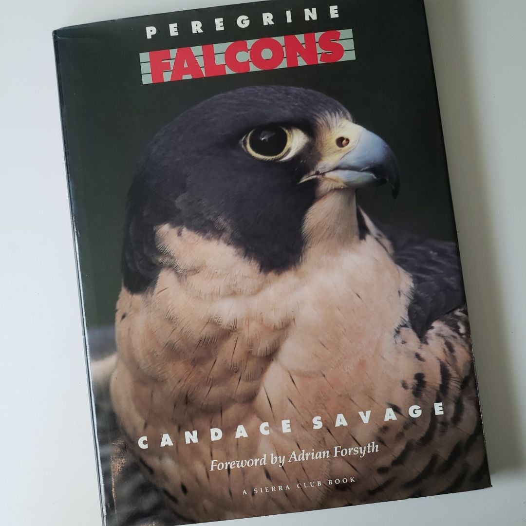 Peregrine Falcons by Candace Savage, Adrian Forsyth