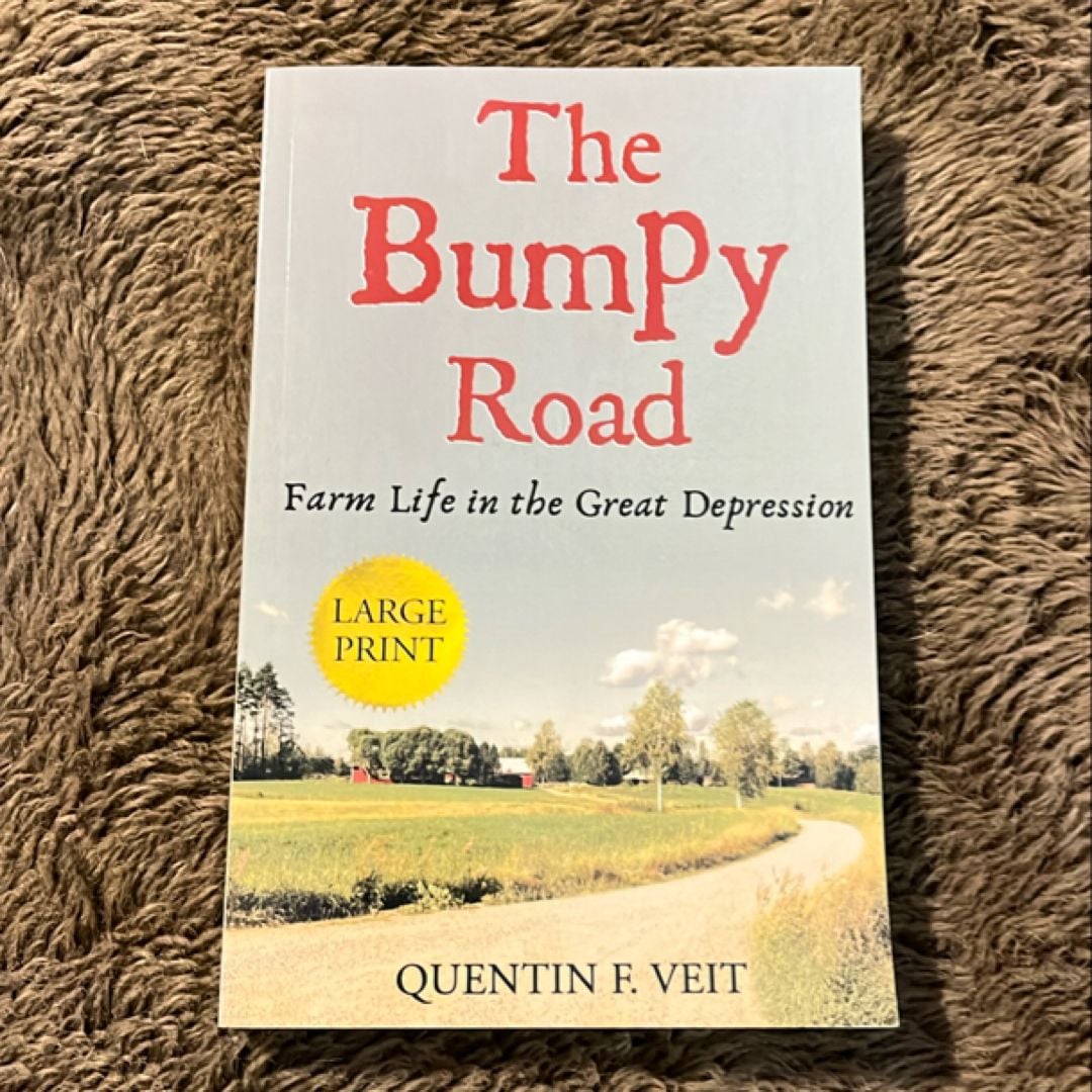 The Bumpy Road by Quentin E. Veit, Paperback | Pangobooks