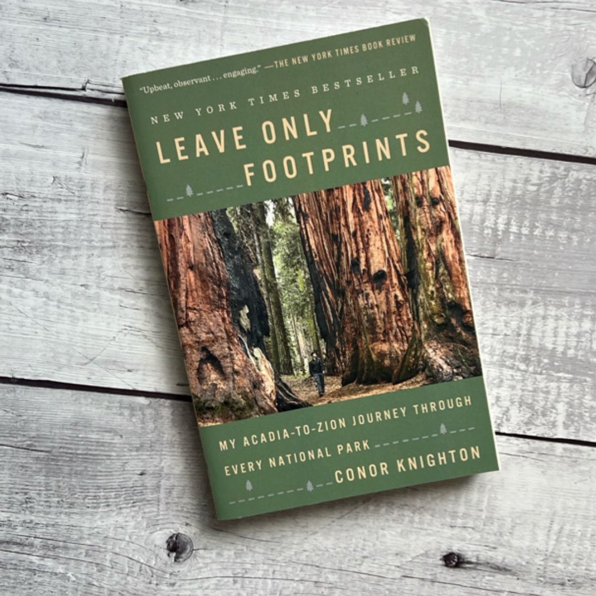 Leave Only Footprints by Conor Knighton
