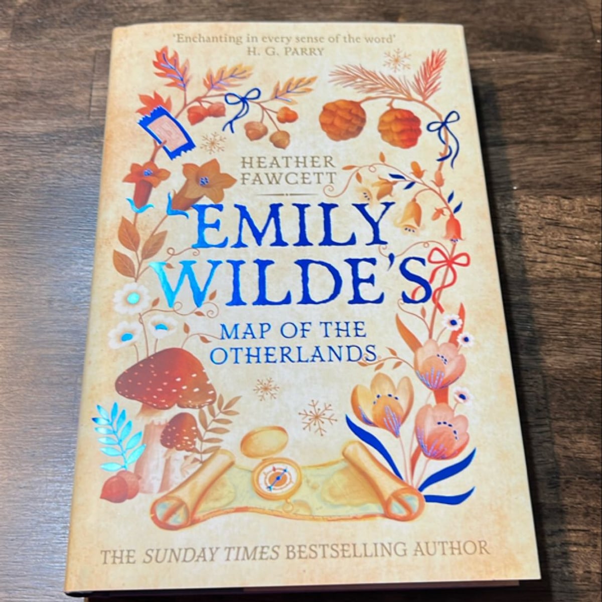 Emily Wilde’s Map of the Otherlands by Heather Fawcett, Hardcover ...