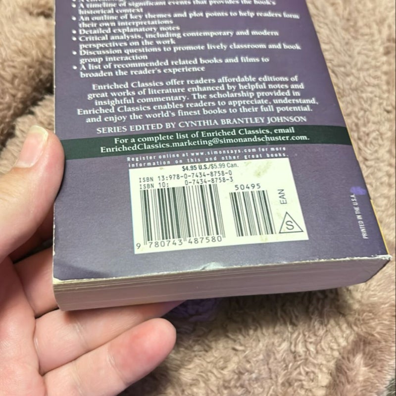 Frankenstein by Mary W. Shelley, Paperback | Pangobooks