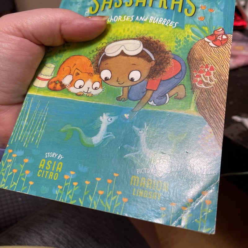 Merhorses and Bubbles by Asia Citro, Paperback | Pangobooks