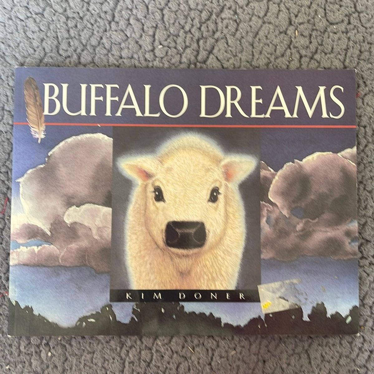 Buffalo Dreams by Kim Doner